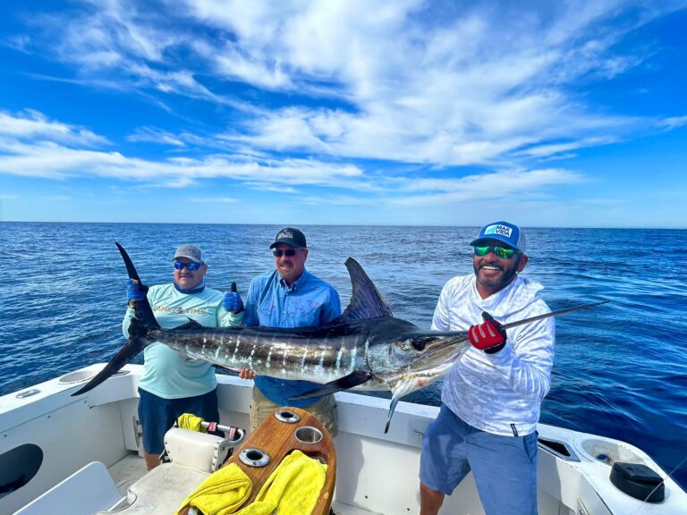 Top 10 Fish You Can Catch in Cabo San Lucas Waters – Mar Vida
